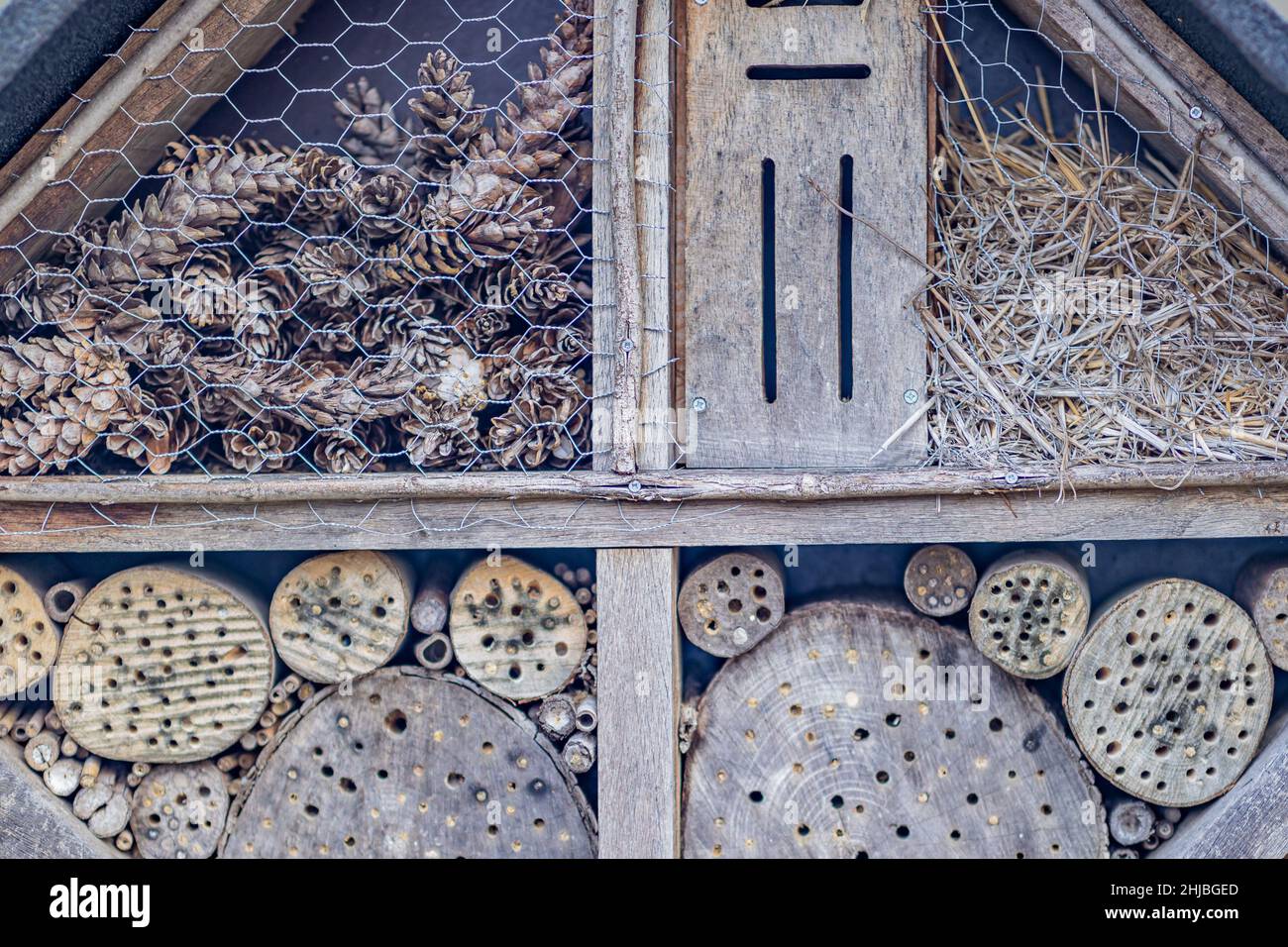 Close-up of an insect hotel with four compartments, two with wooden ...