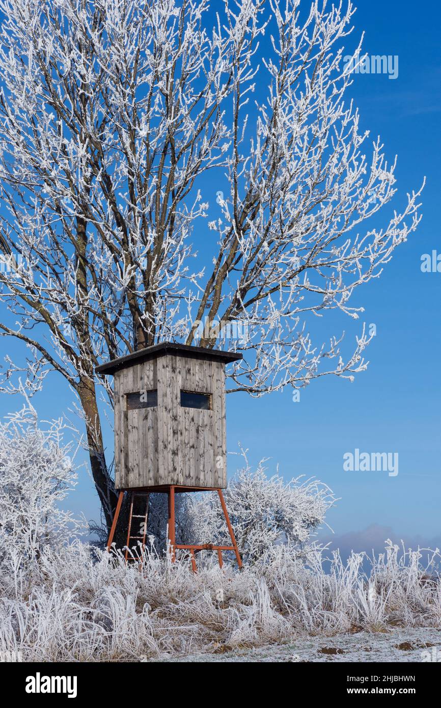 Wooden camera tower hi-res stock photography and images - Alamy