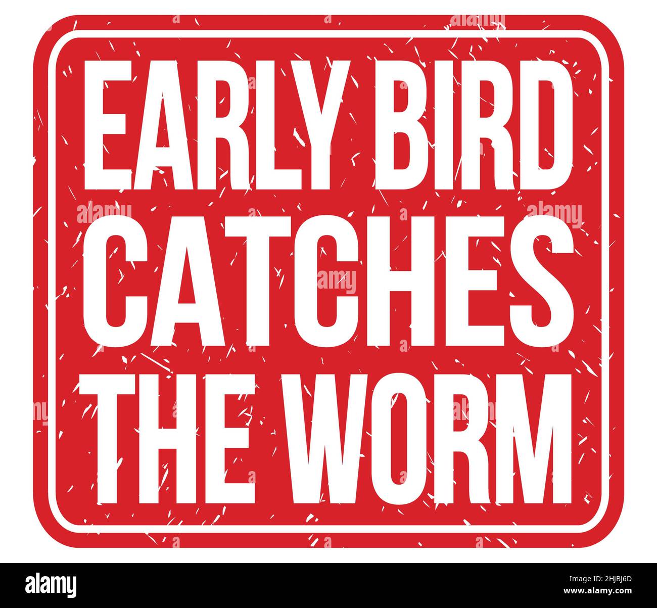 The early bird catches the worm hi-res stock photography and images - Alamy