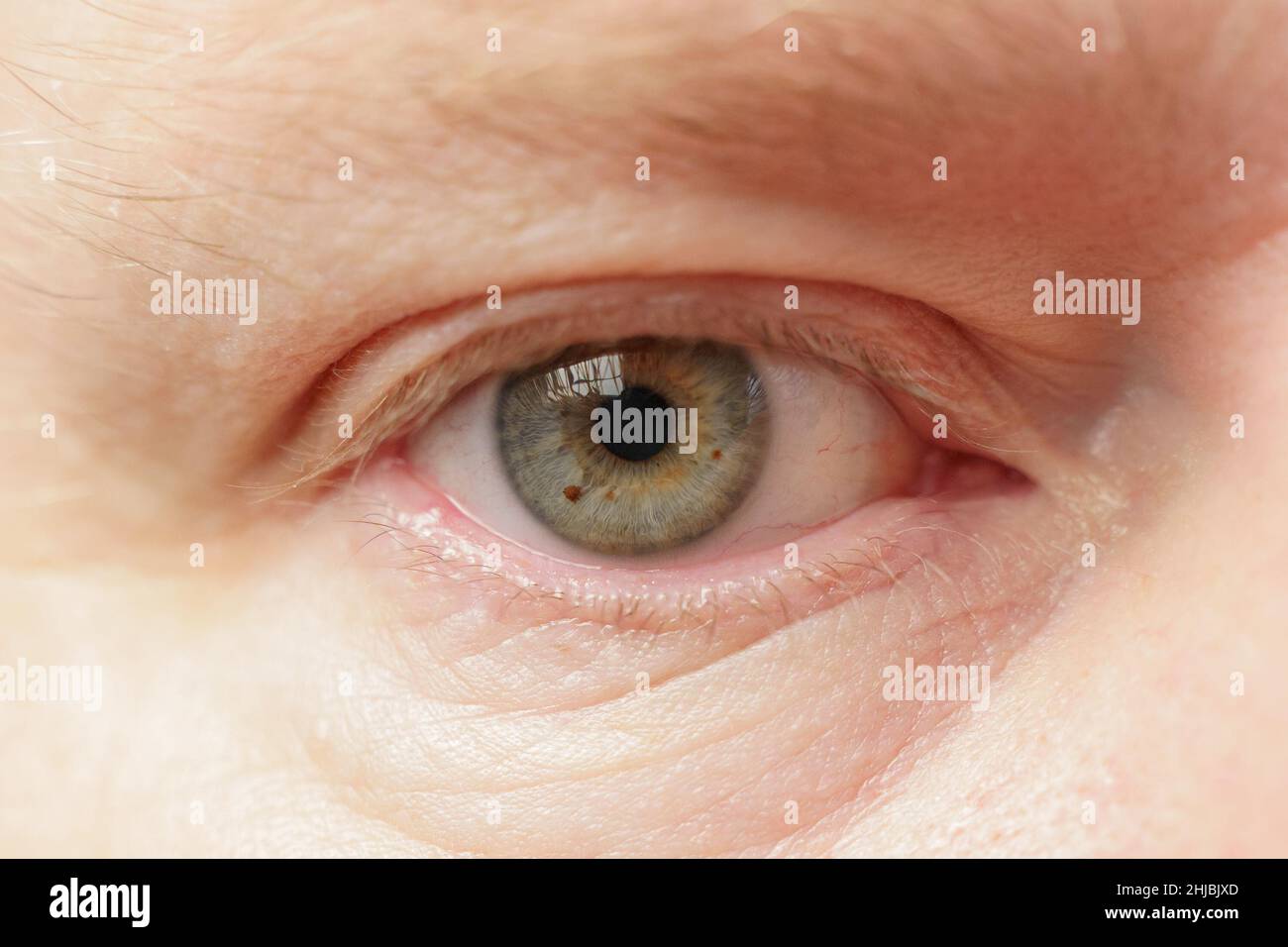 Right eye of a white male close-up, soft focus. The human eye with a ...