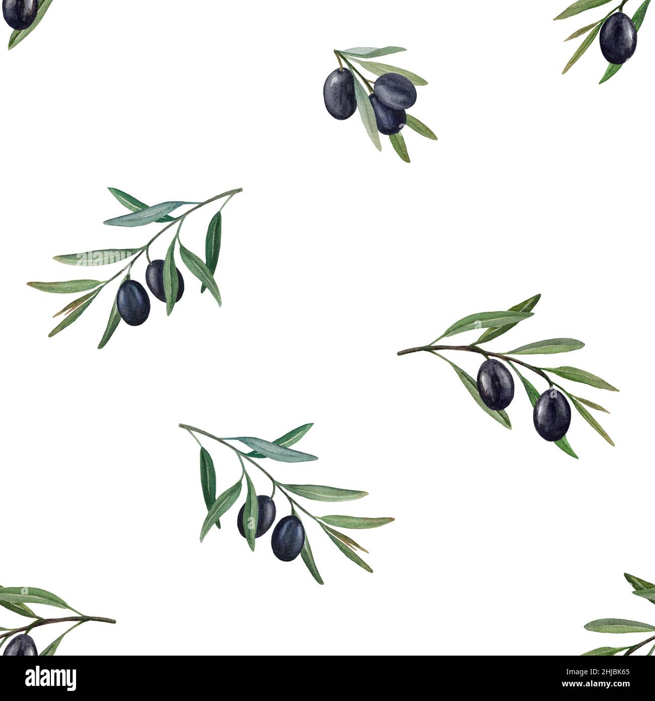 Branches olive tree seamless Cut Out Stock Images & Pictures - Alamy