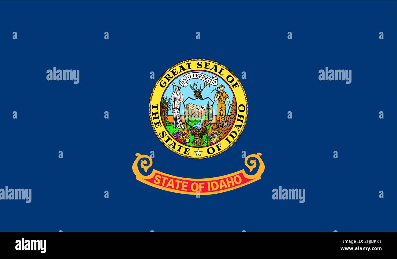 State of Idaho U.S. State Vector Illustration Stock Vector Image & Art ...