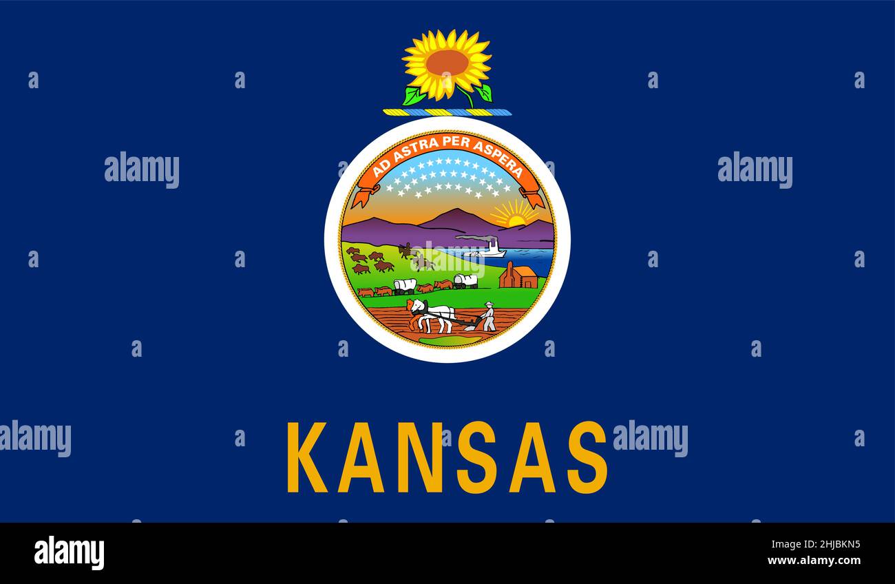 State of Kansas U.S. State Vector Illustration Stock Vector Image & Art ...
