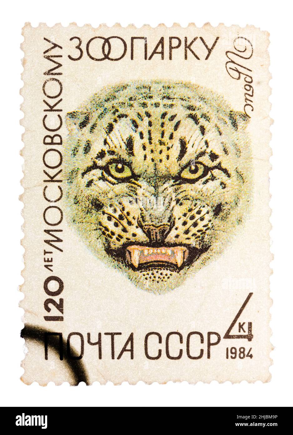 Stamp printed in Russia, shows Snow leopard in Moscow Zoo, 120th ...
