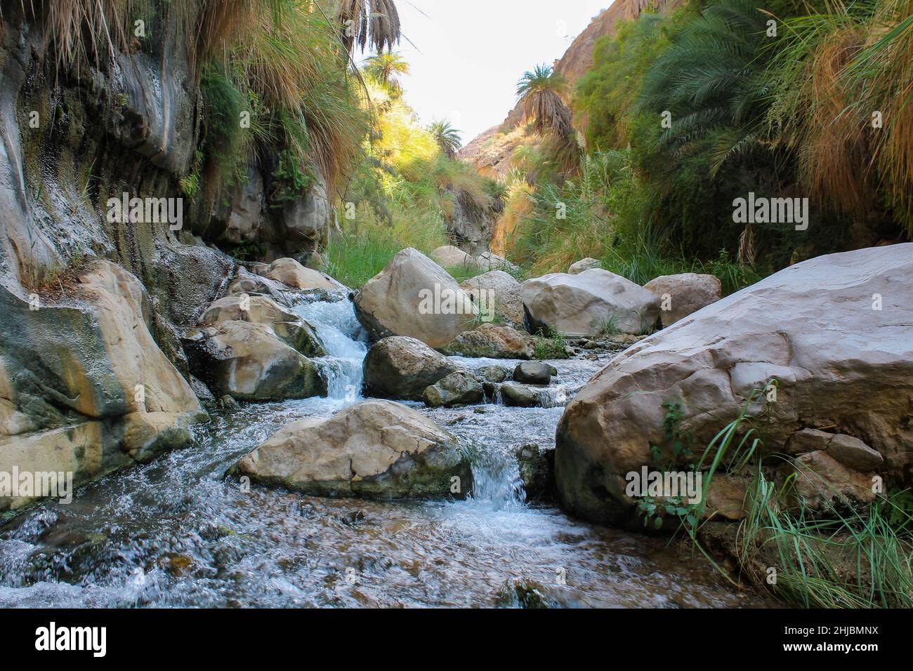 Waterfall ein gedi en israel hi-res stock photography and images - Alamy