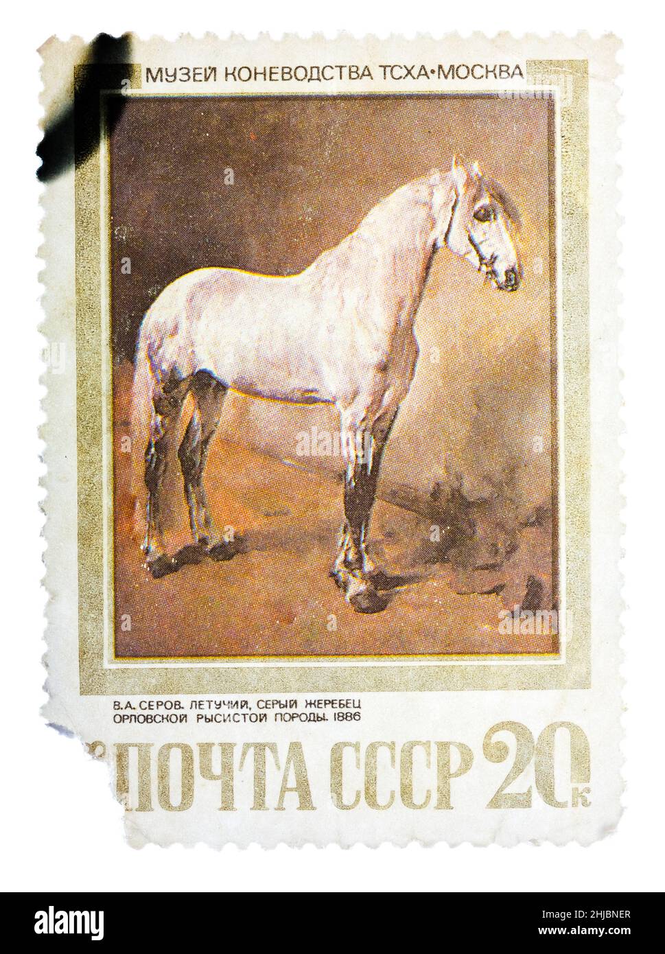 Stamp printed in USSR, shows Letuchya, a Gray Orlov Trotter Stallion ...