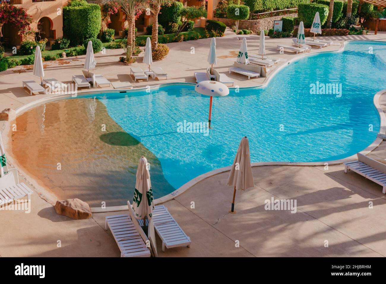 Beautiful swimming pool and palm trees in Egypt Stock Photo - Alamy