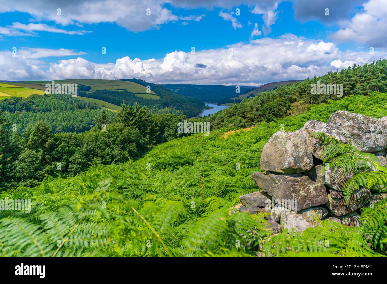 View of Ladybower Reservoir and dry stone wall, Peak District National ...