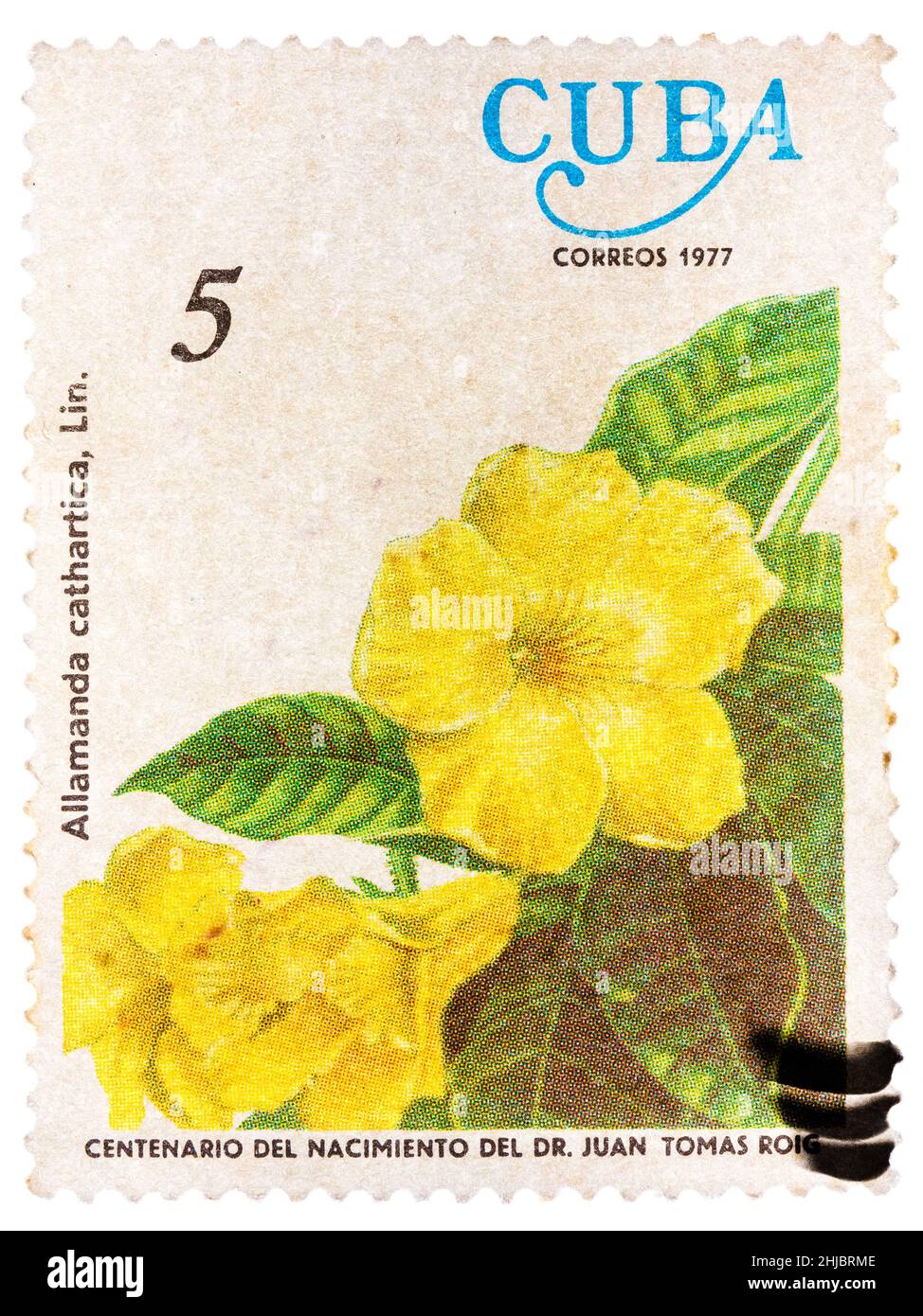 Tomas roig hi-res stock photography and images - Alamy