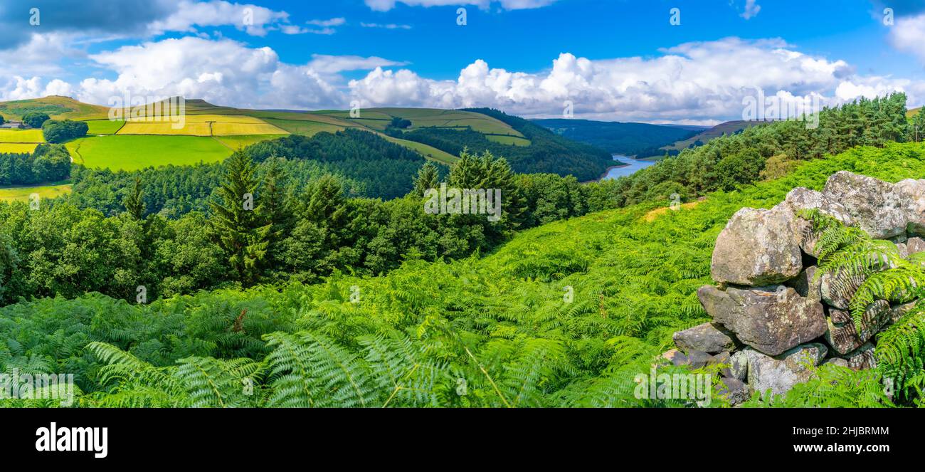 View of Ladybower Reservoir and dry stone wall, Peak District National ...