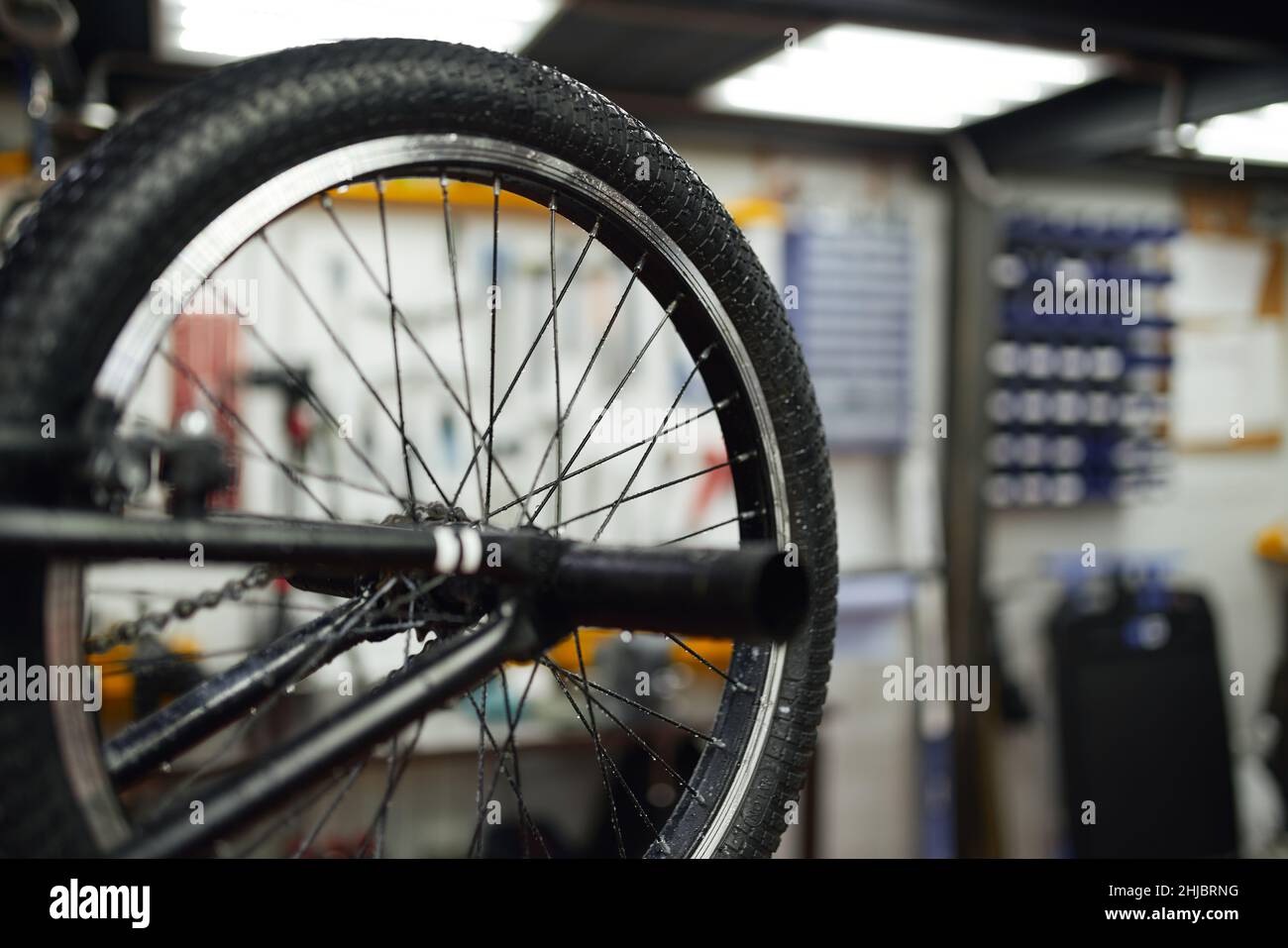 Part wheel of modern BMX bicycle with metal peg on blurred background ...