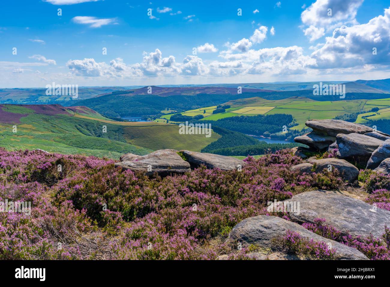 View of Ladybower Reservoir and flowering purple heather from Derwent ...