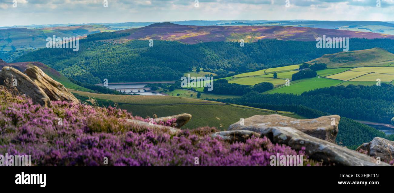 View of Ladybower Reservoir and flowering purple heather on Derwent ...