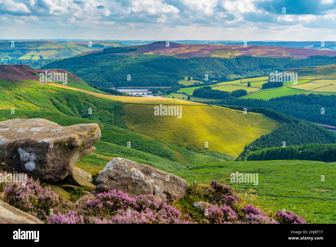 View of Ladybower Reservoir and flowering purple heather on Derwent ...