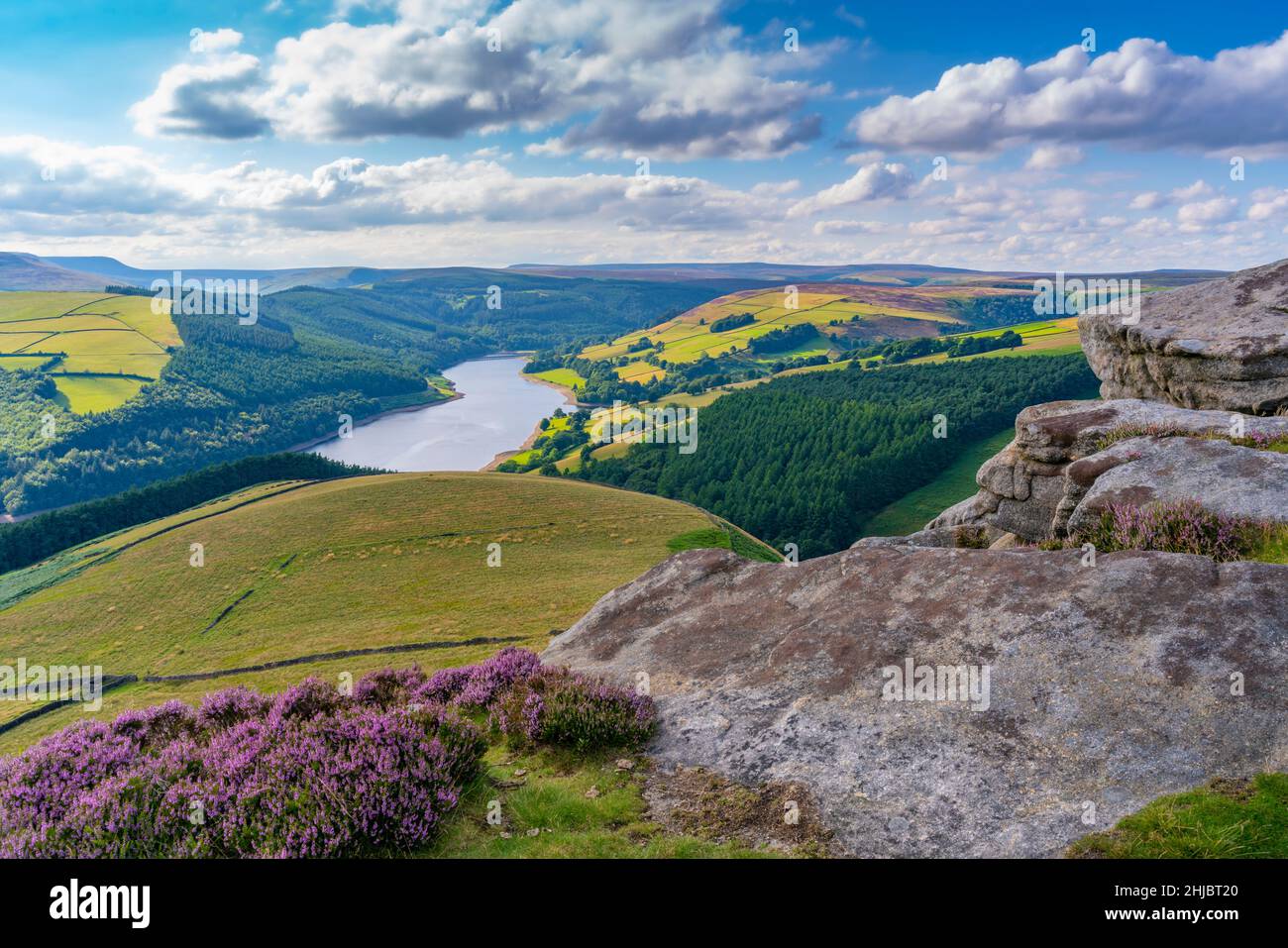 View of Ladybower Reservoir and flowering purple heather on Derwent ...