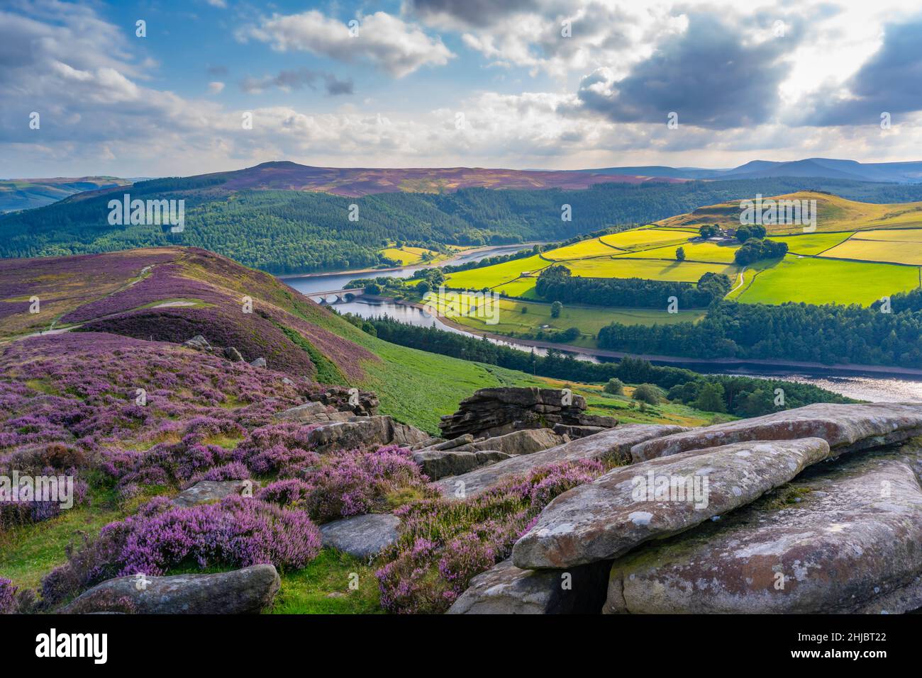 View of Ladybower Reservoir and flowering purple heather on Derwent ...