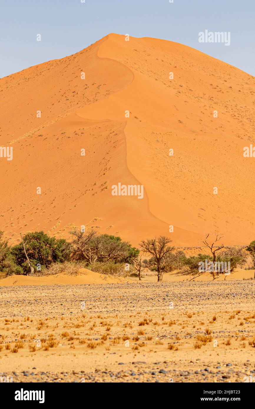 Sand Dunes near Sossusvlei, Namibia Stock Photo - Alamy