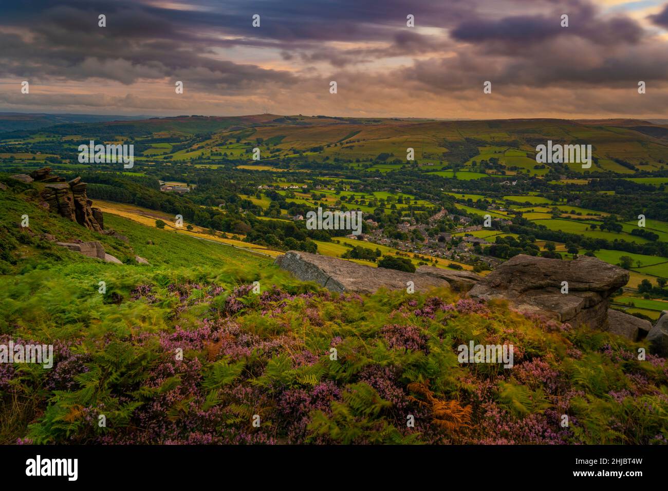 View of Bamford village and flowering purple heather on Bamford Edge ...