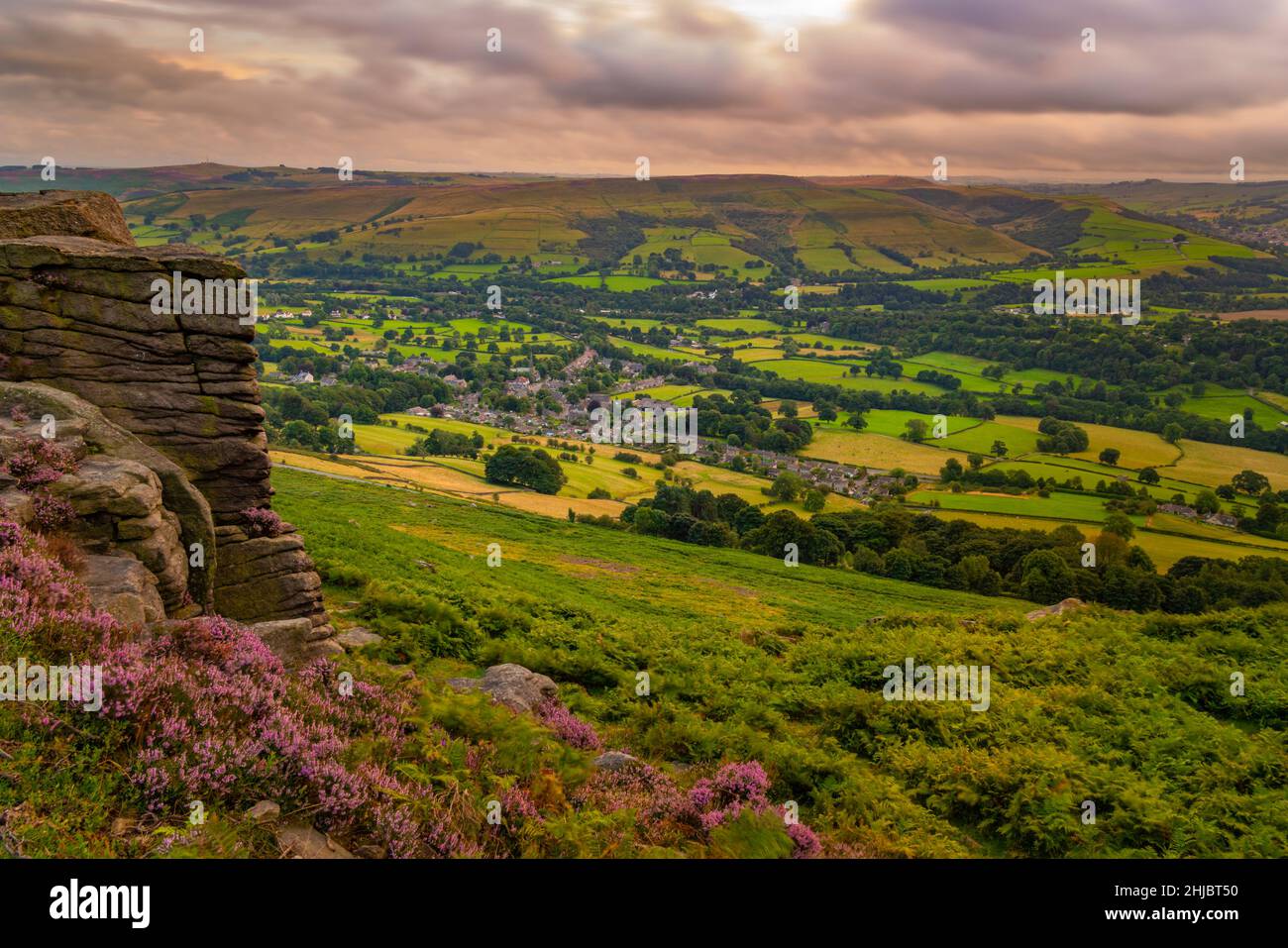 View of Bamford village and flowering purple heather on Bamford Edge ...