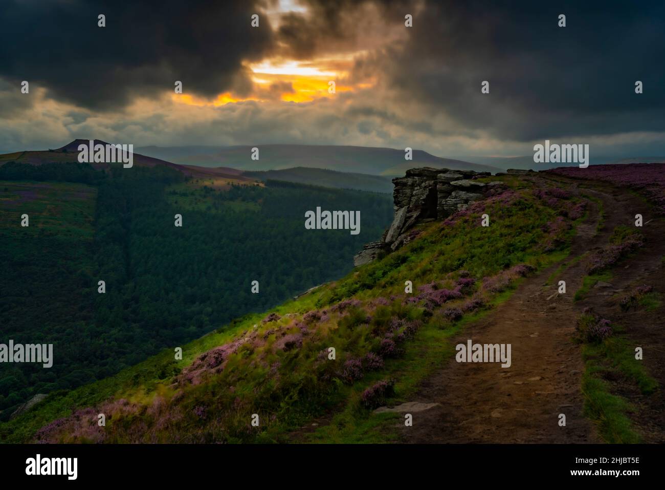 View of Derwent Valley and flowering purple heather on Bamford Edge ...