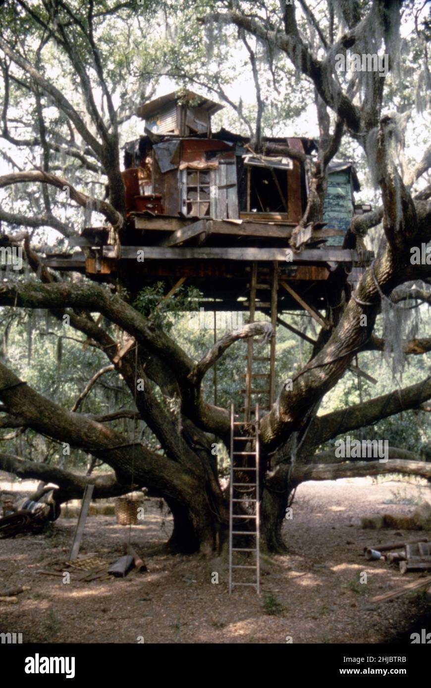 The War Year : 1994 USA Director : Jon Avnet Stock Photo - Alamy