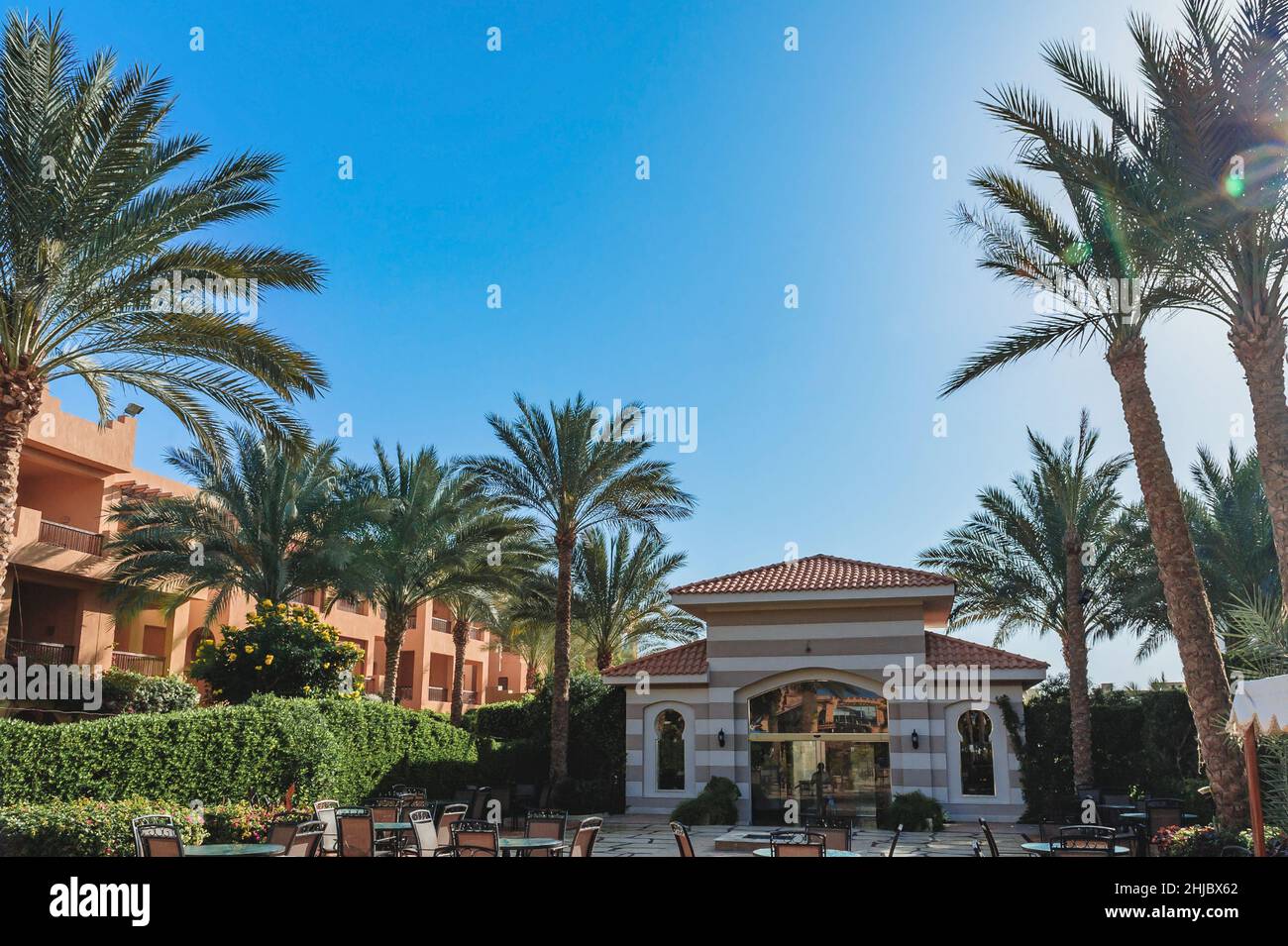Luxury holiday villa with palm tree Stock Photo - Alamy