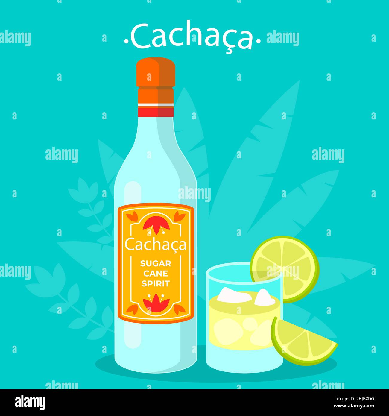 Hand drawn refreshing cachaca illustration Vector illustration Stock ...