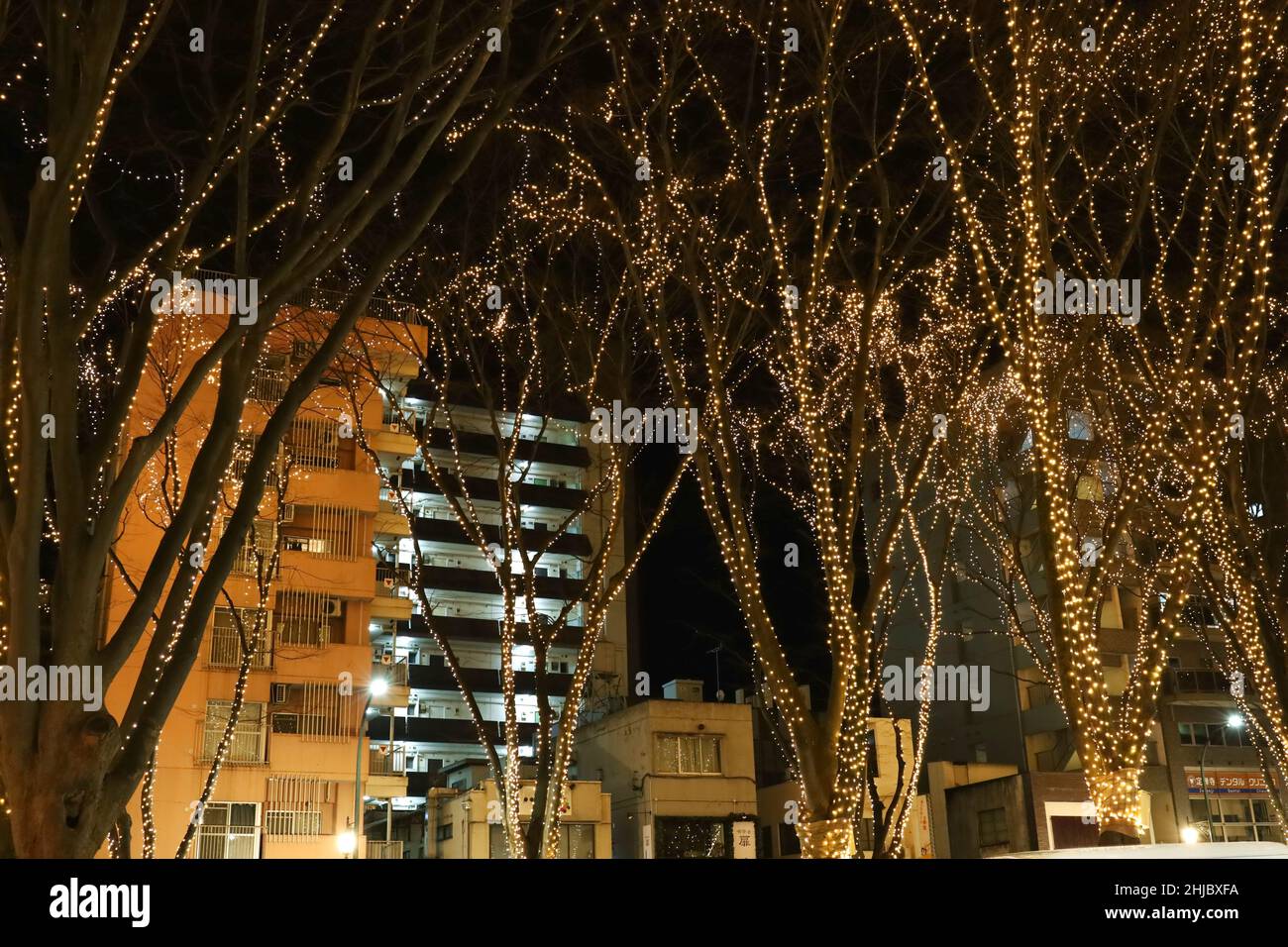 Sendai City, Miyagi Prefecture Japan, December 28, 2021.Illuminated ...