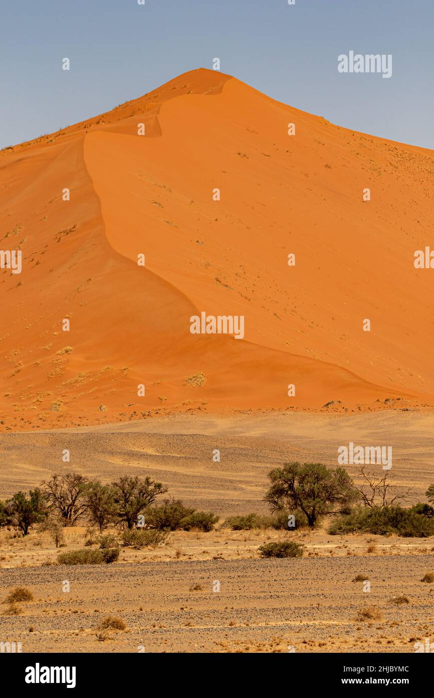 Sand Dunes near Sossusvlei, Namibia Stock Photo - Alamy