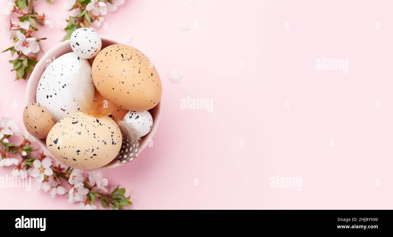 Easter eggs and cherry blossom. Spring greeting card with copy space ...