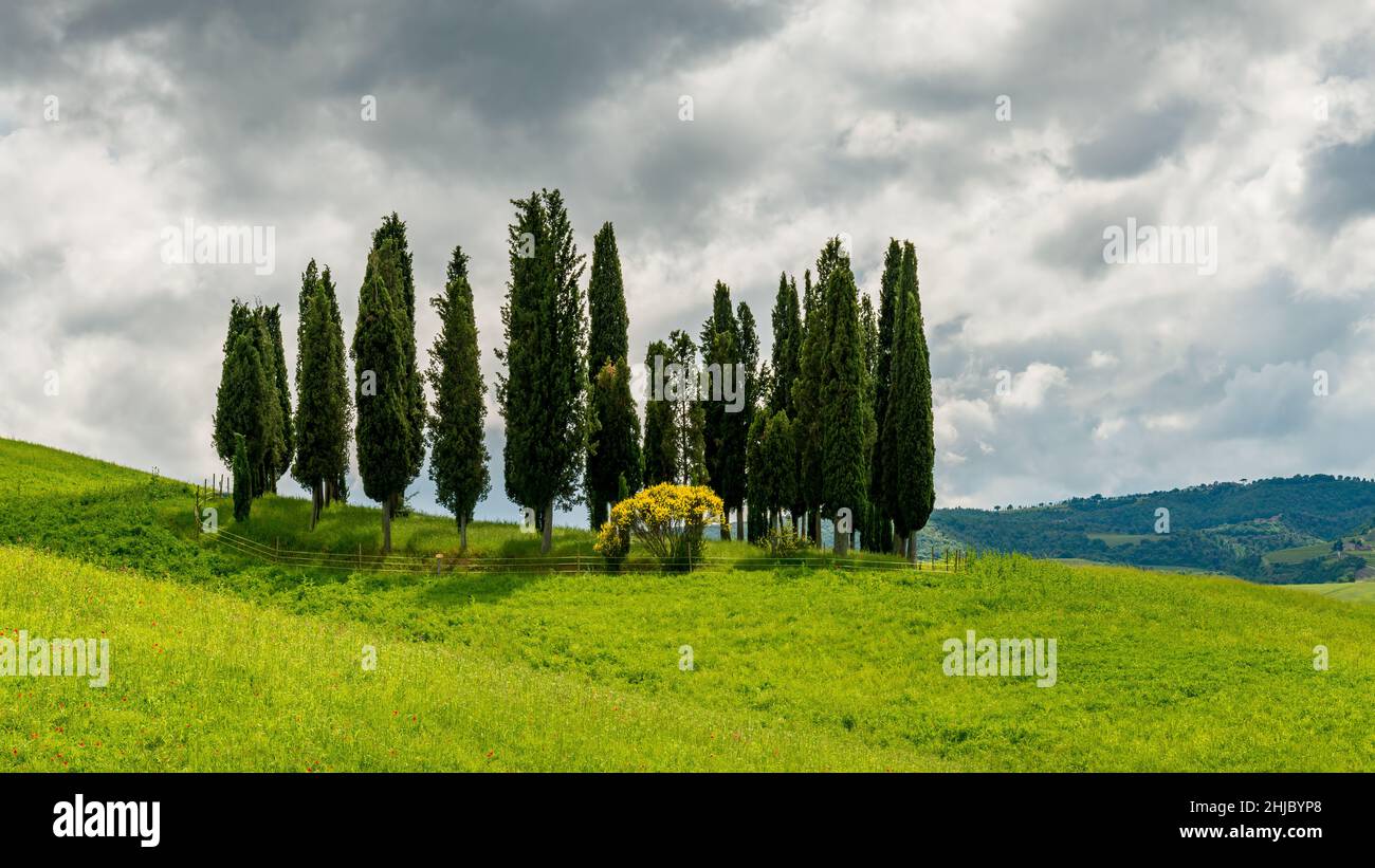 View of the scenic Tuscan countryside Stock Photo - Alamy