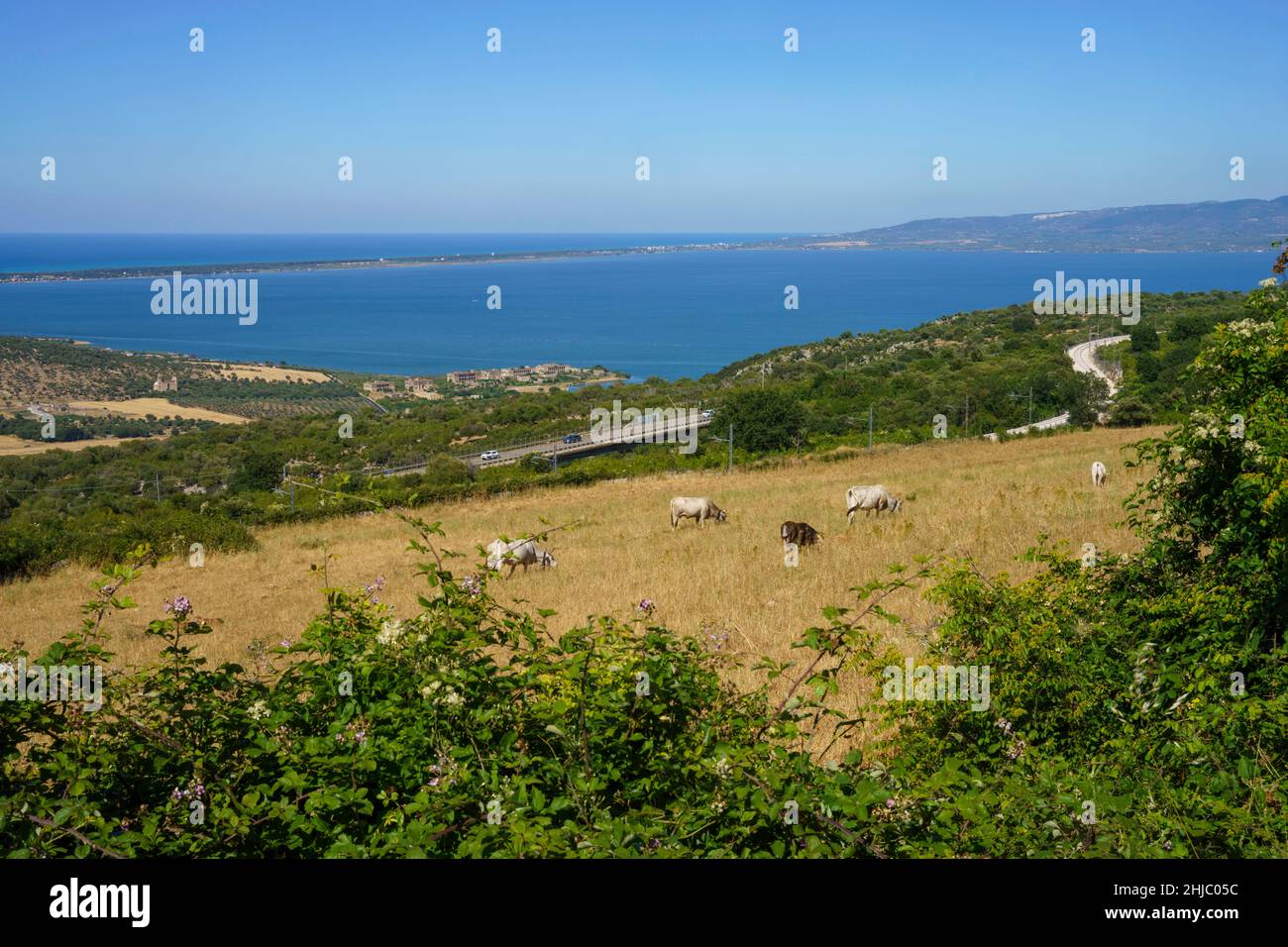 Rural landscape of the Gargano, Foggia province, Apulia, Italy, along ...