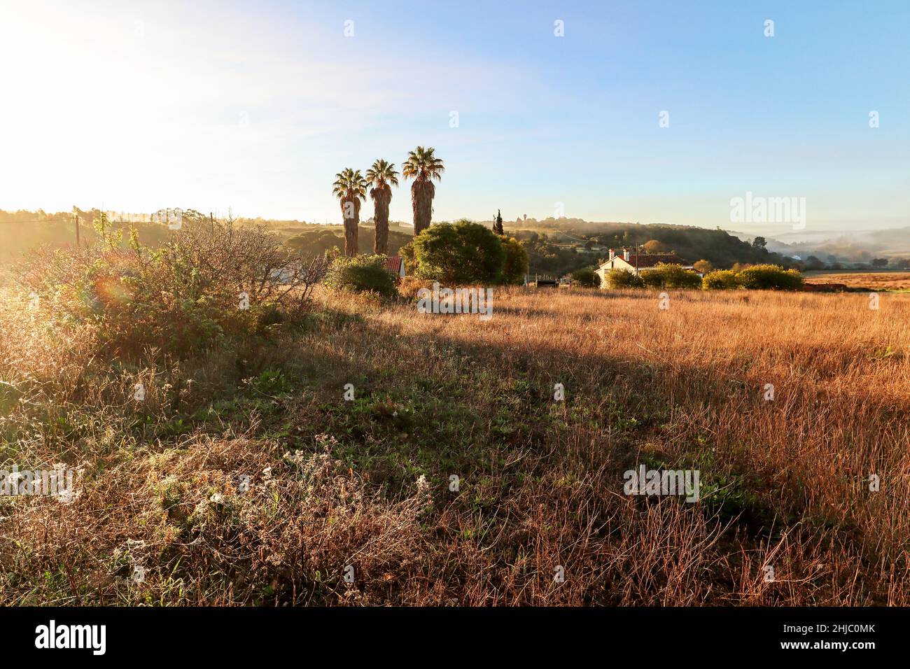 View of typical Alentejo landscape with Portuguese village in morning ...