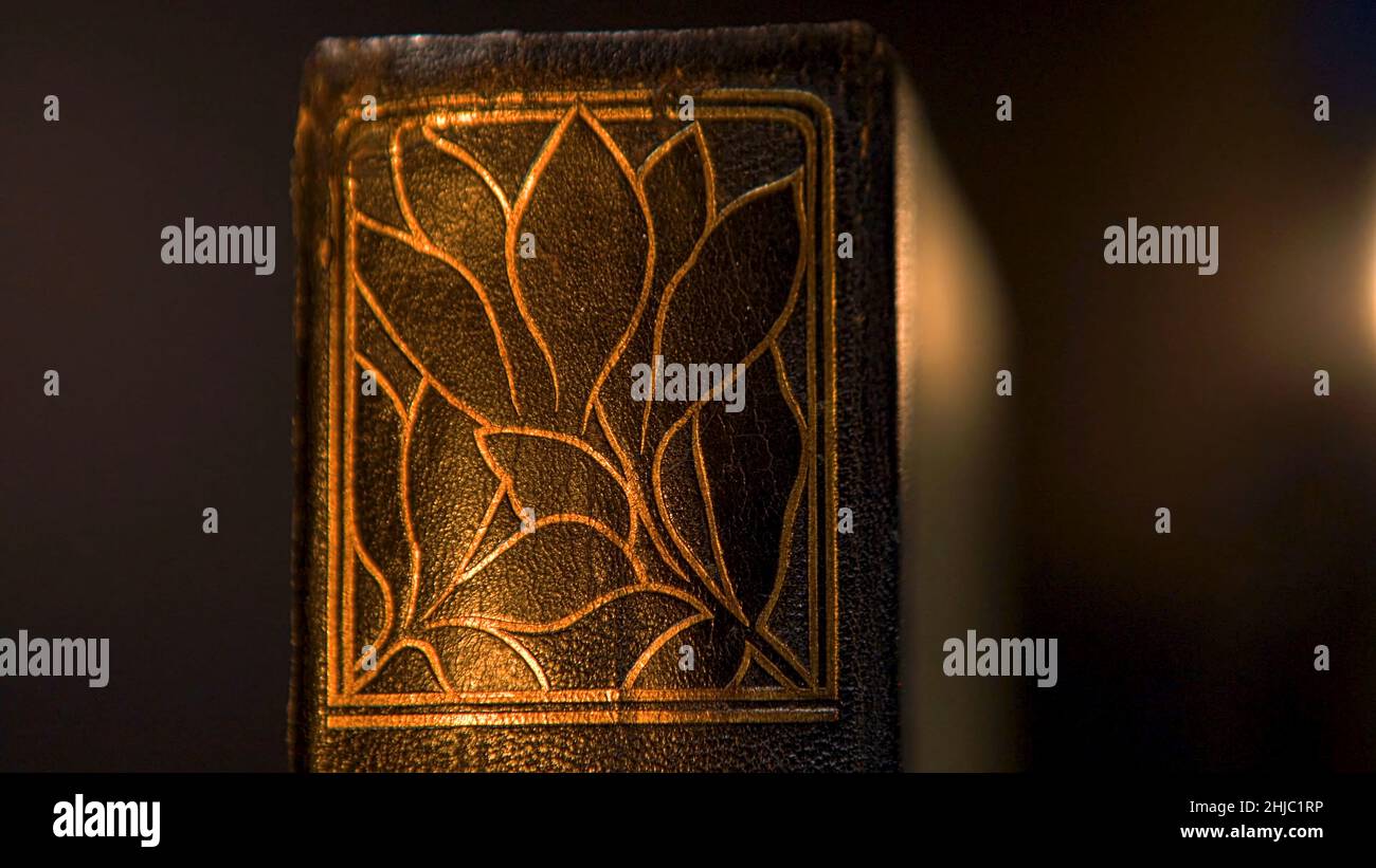 Vintage books with dark leather binding and patterns on isolated ...