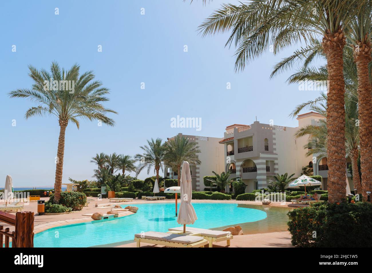 Beautiful swimming pool and palm trees in Egypt Stock Photo - Alamy
