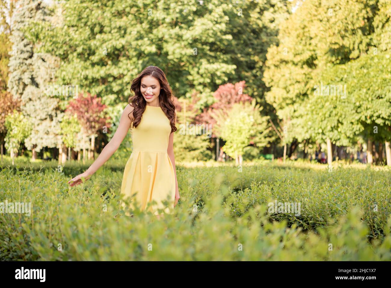 Photo of young cheerful pretty woman happy positive smile walk park ...