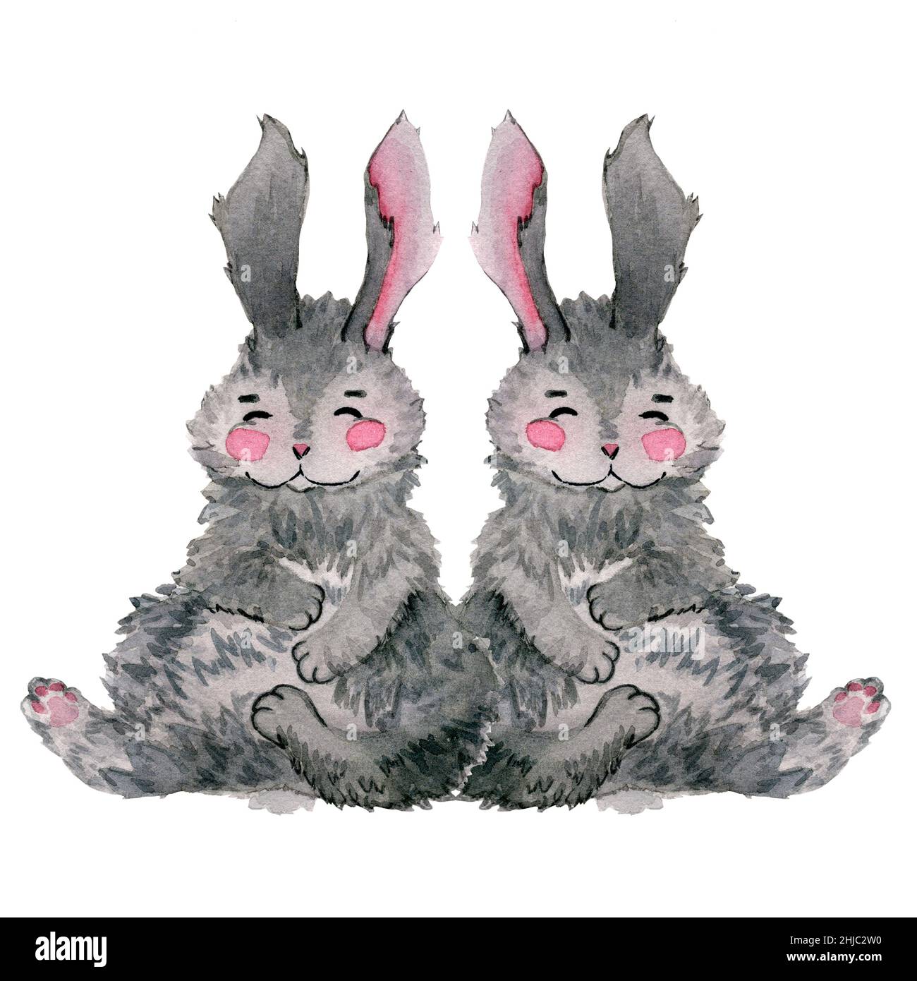 Baby Bunny Rabbits Drawing