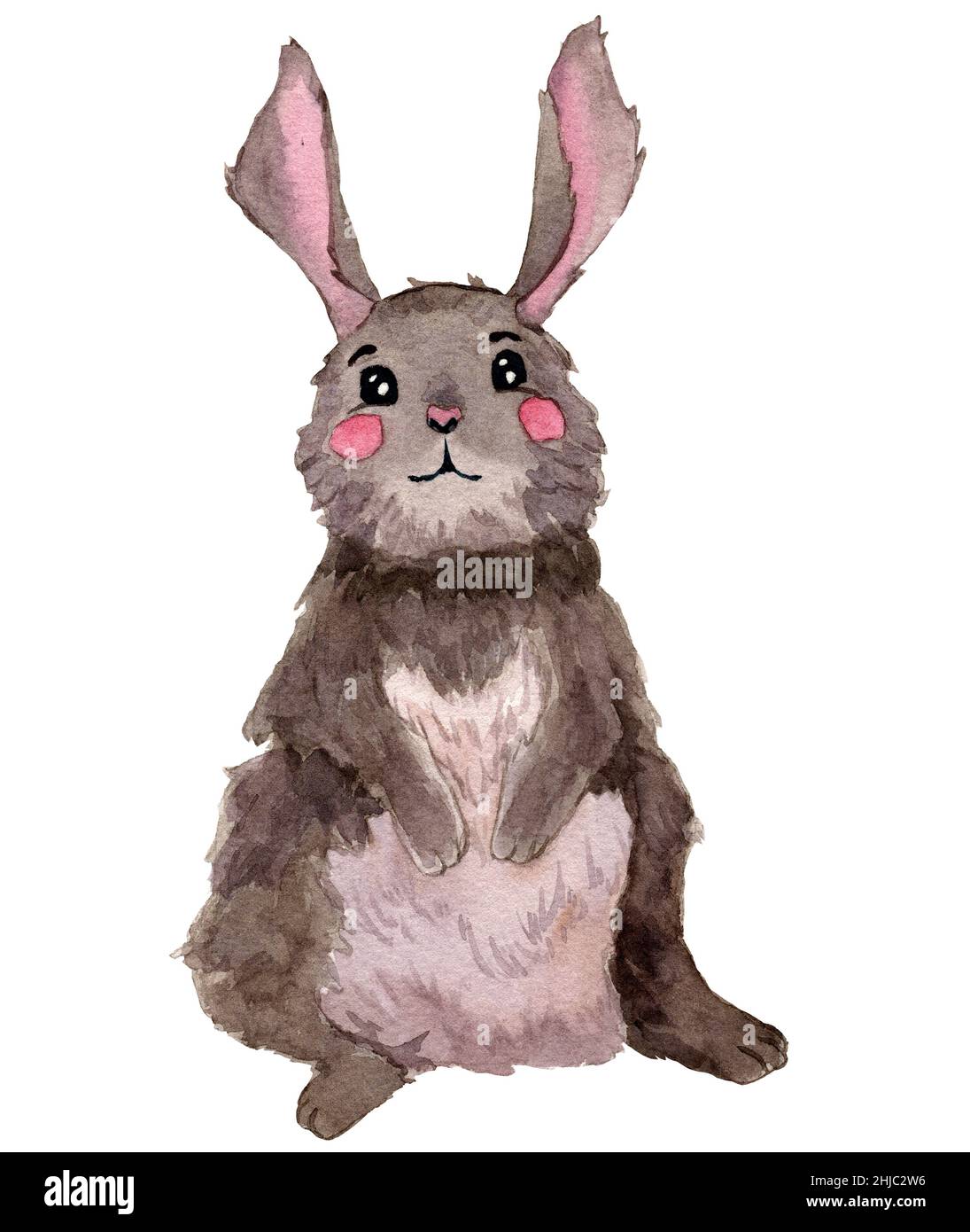 Baby Bunny Rabbit Drawing