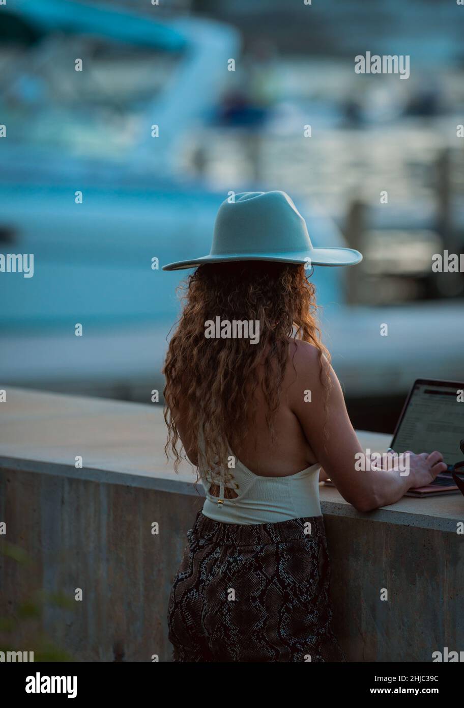 Vertical back view of a female with a hat working on her laptop with ...