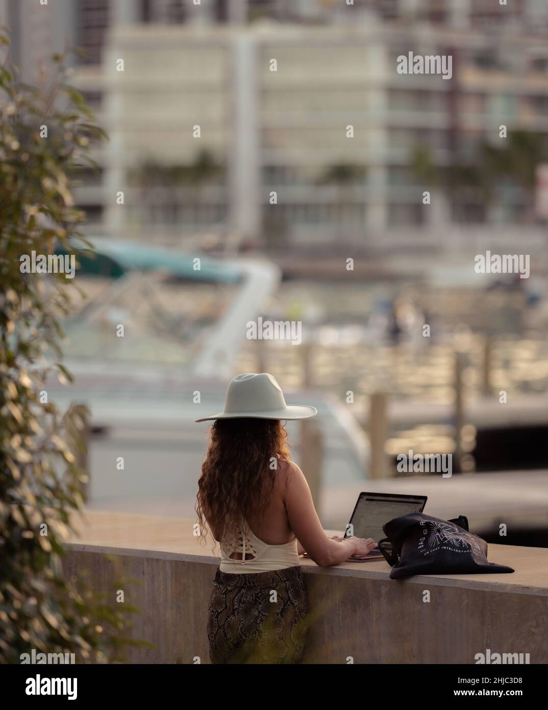 Vertical back view of a female with a hat working on her laptop with ...