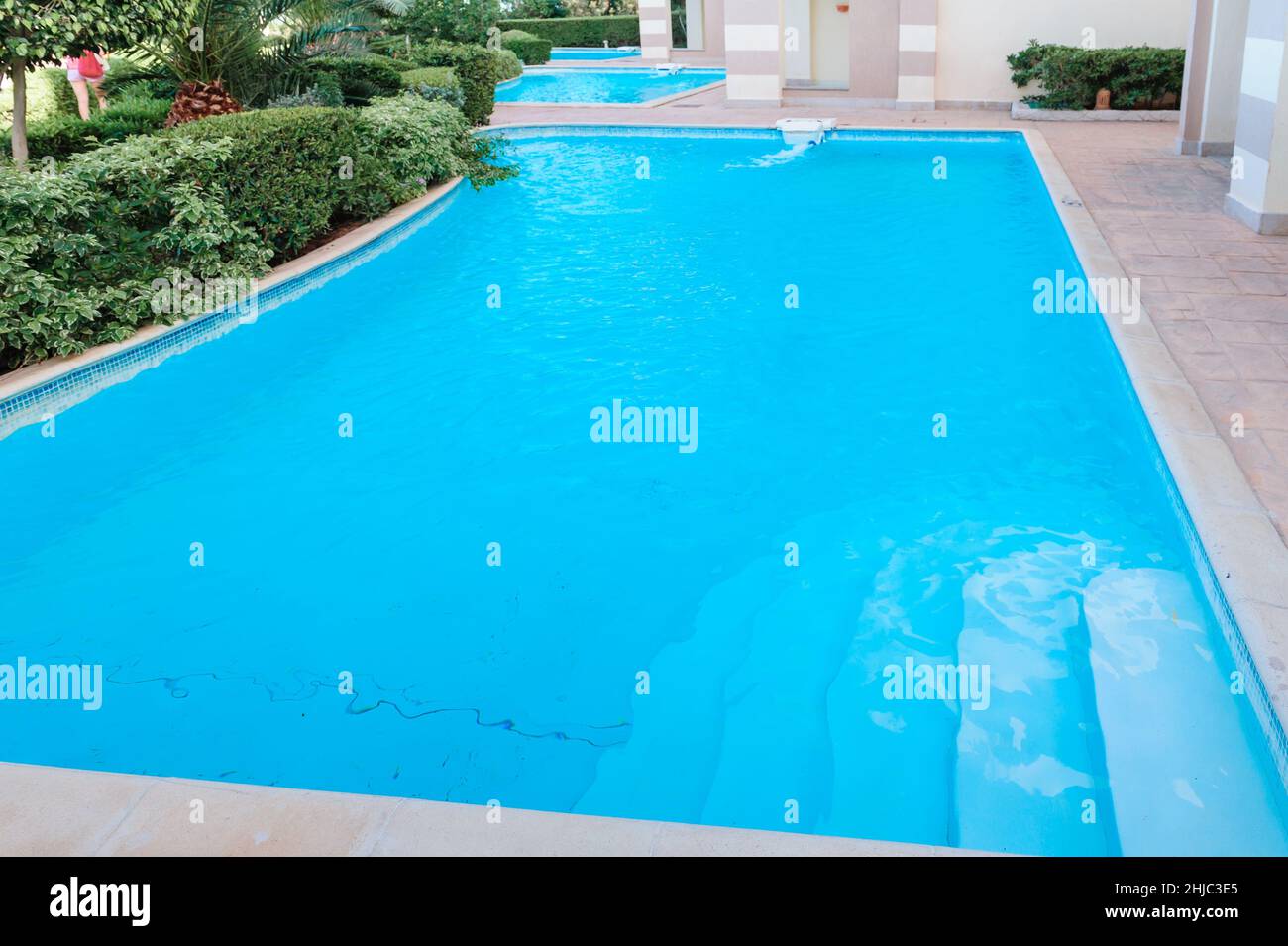 Beautiful swimming pool and palm trees in Egypt Stock Photo - Alamy