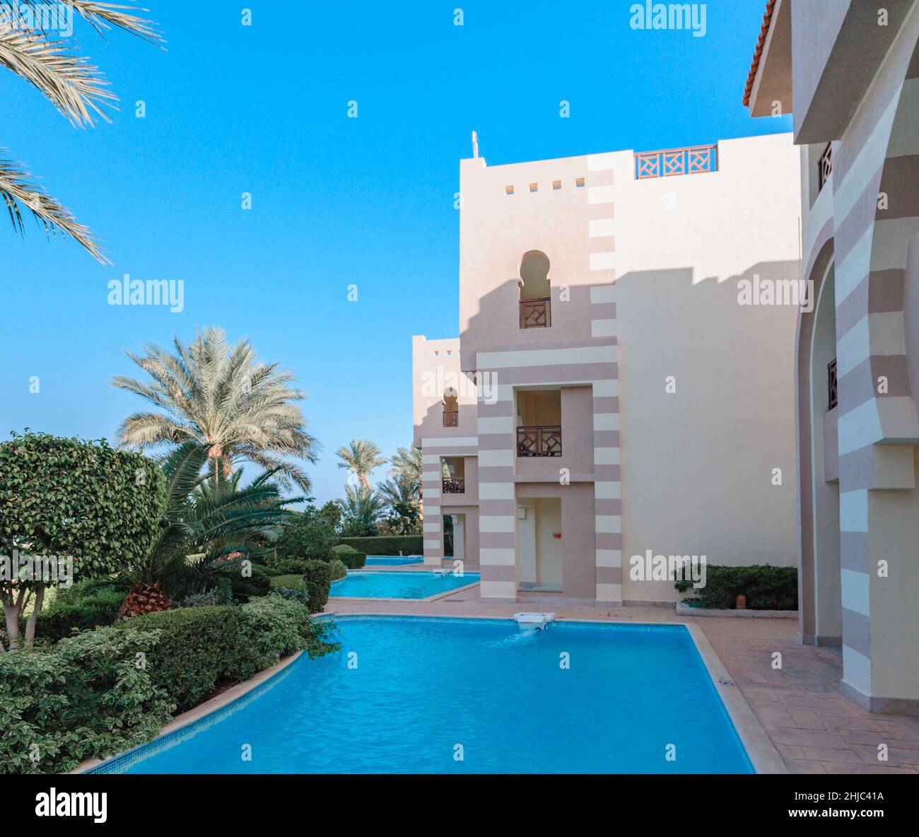 Beautiful swimming pool and palm trees in Egypt Stock Photo - Alamy