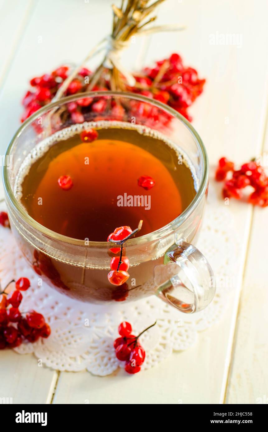 hot tea with viburnum berries delicious remedy for colds Stock Photo ...