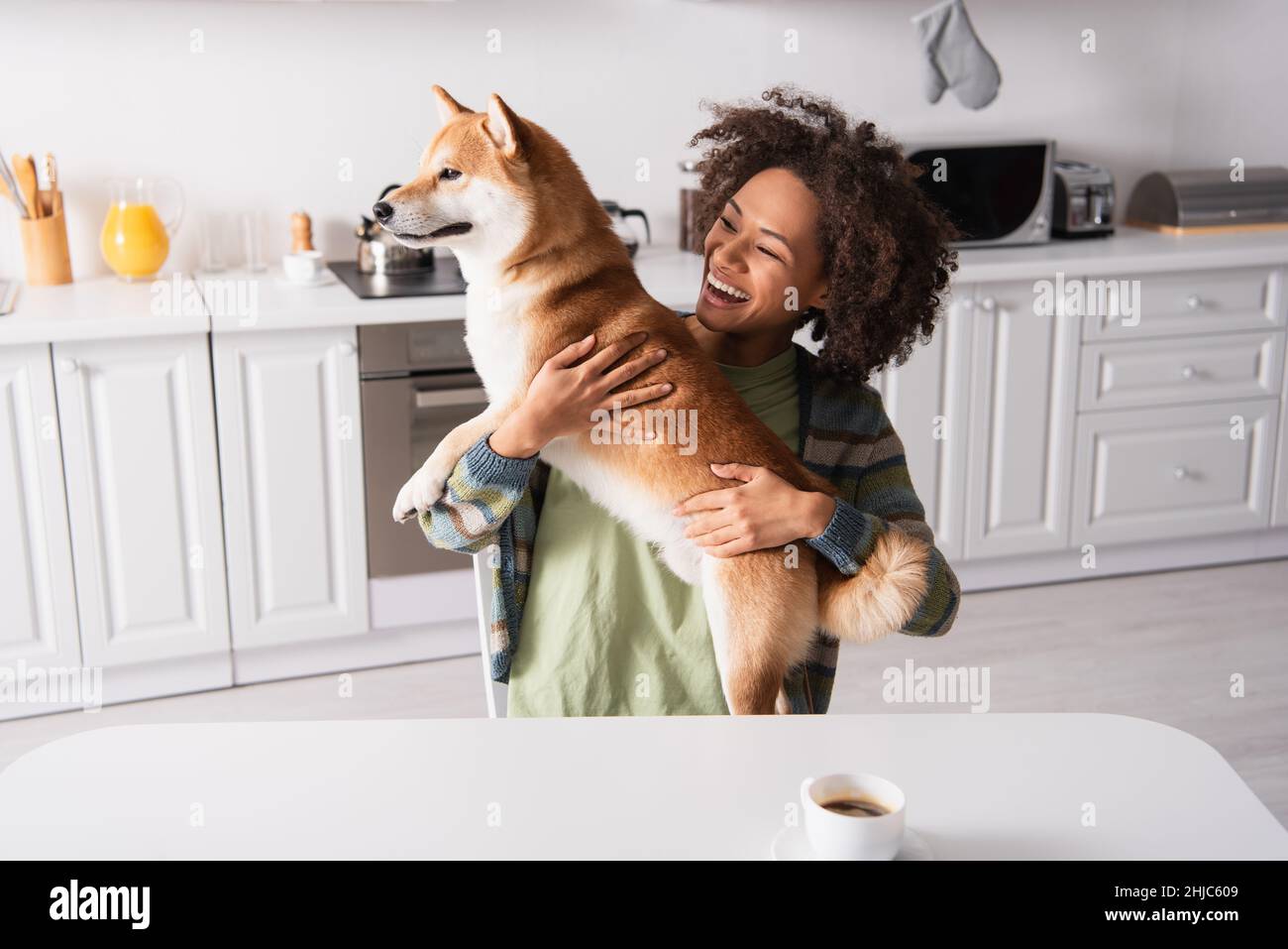excited african american woman holding shiba inu dog while sitting in ...