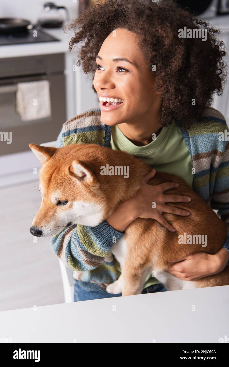 Shiba inu cuddle hi-res stock photography and images - Alamy