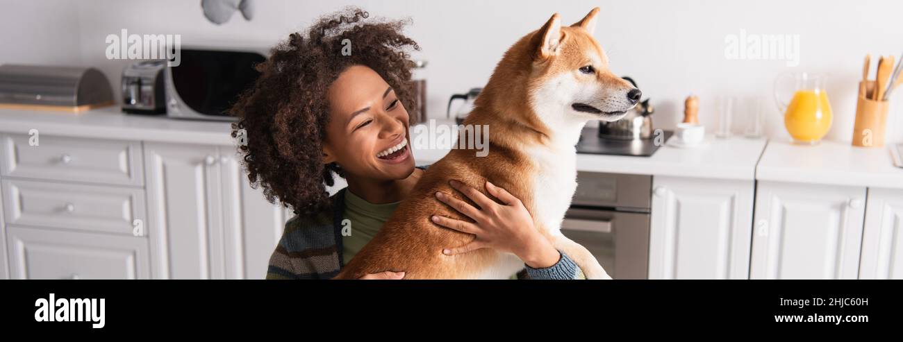 cheerful african american woman embracing shiba inu dog in kitchen ...