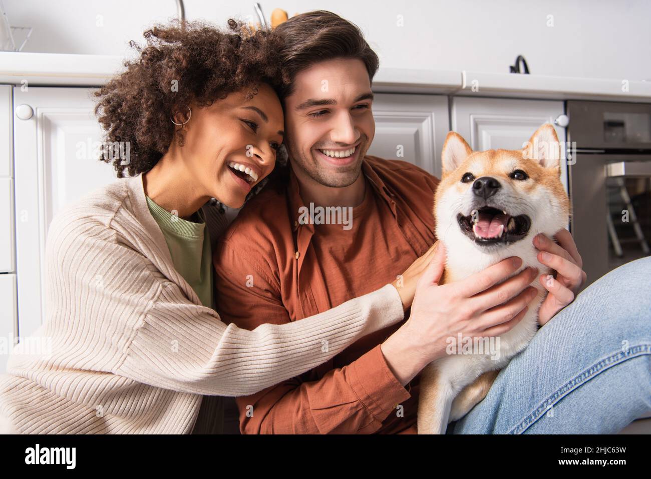 Do Shiba Inus Like To Cuddle