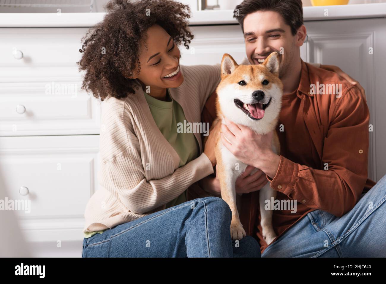 excited multiethic couple hugging shiba inu dog in kitchen Stock Photo ...