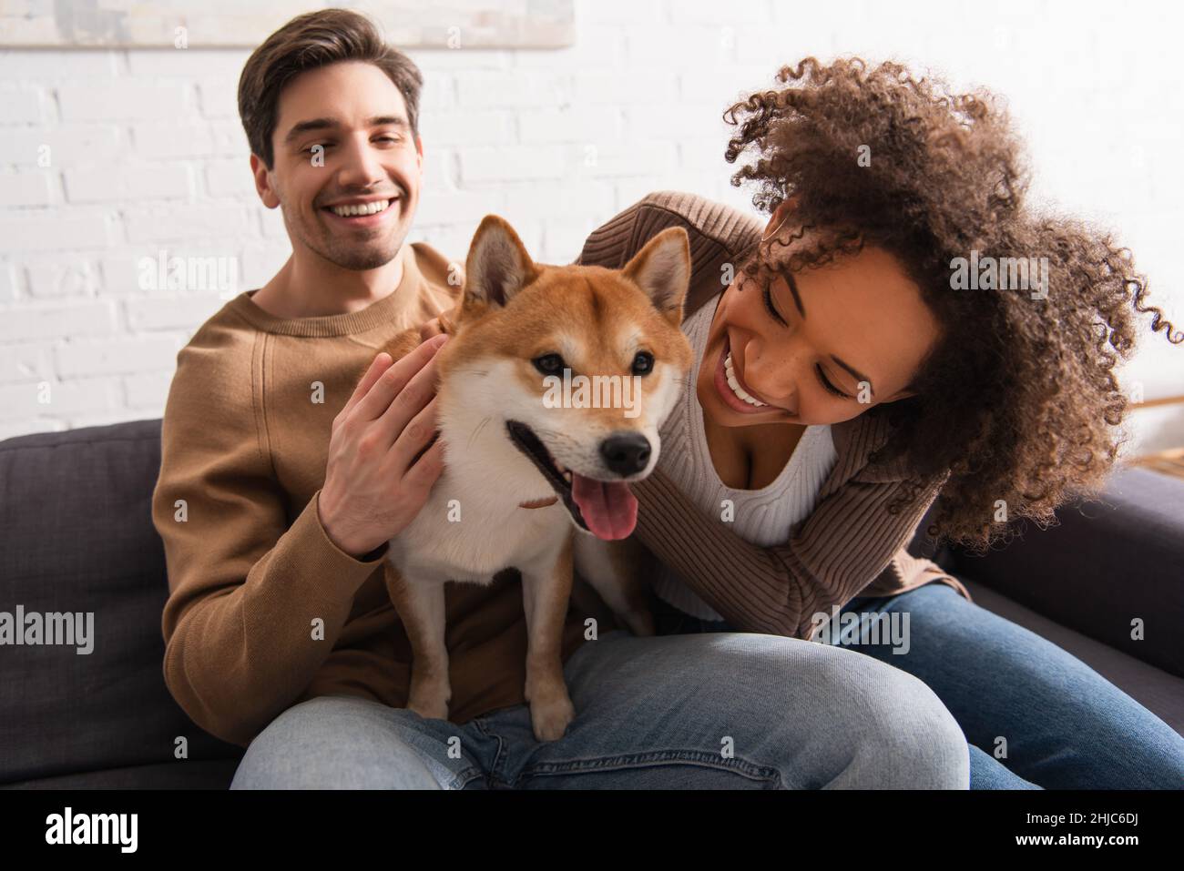 Smiling african american woman petting shiba inu near boyfriend on ...