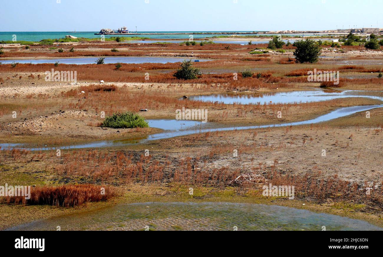 Wetlands with water channels, Askar, Kingdom of Bahrain Stock Photo - Alamy